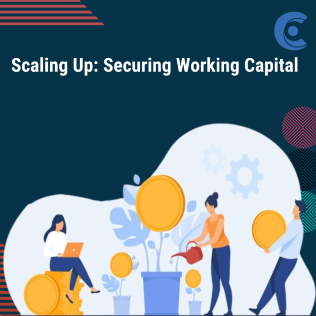 Scaling Up: Securing Working Capital – CoreView